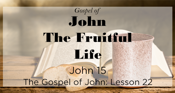 John: 22 - The Fruitful Life - iStudyEBS