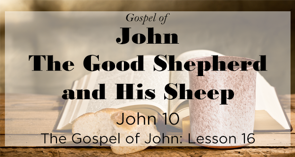 John: 16 - The Good Shepherd & His Sheep - iStudyEBS